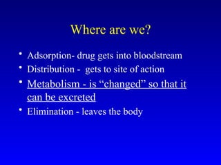 Drug Metabolism in human body and ADME .pptx