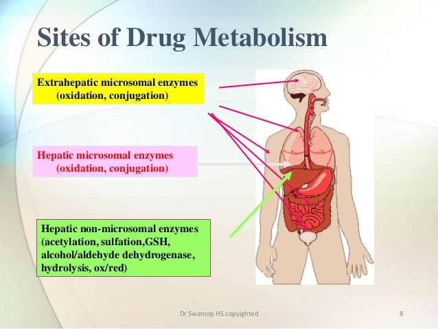 Drug metabolism