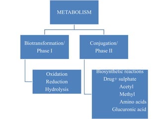 Drug metabolism according to pci,bparm4 | PPTX