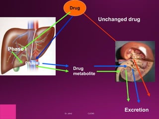 Drug metabolism & elimination 18 final copy | PDF