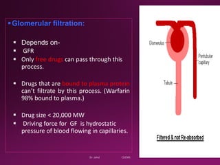 Drug metabolism & elimination 18 final copy | PDF