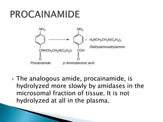 examples of Drug metabolism | PPTX