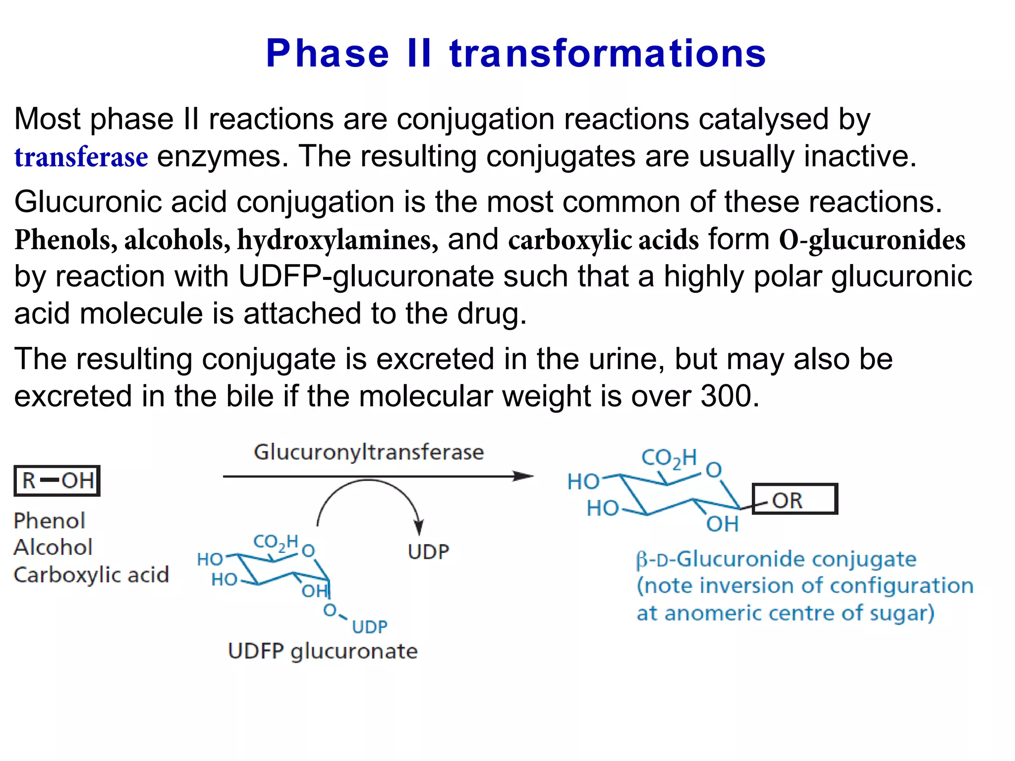 Drug metabolism (mrh) | PPT