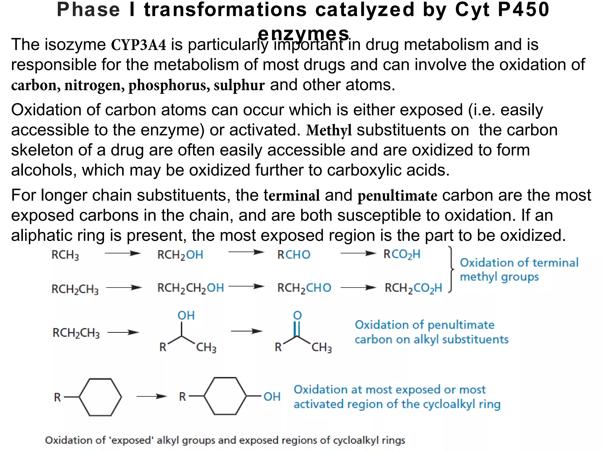 Drug metabolism (mrh) | PPT