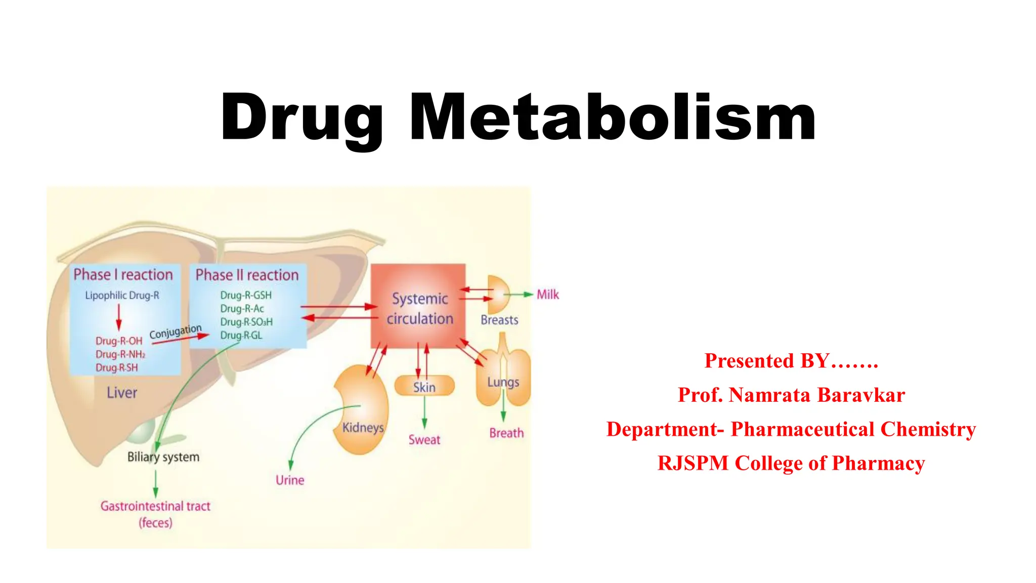 Drug Metabolism pdf MedicinalChemistry I | PDF