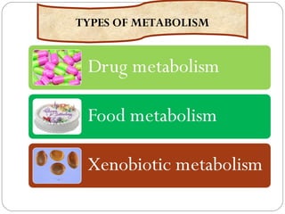 Drug metabolism ppt | PPT