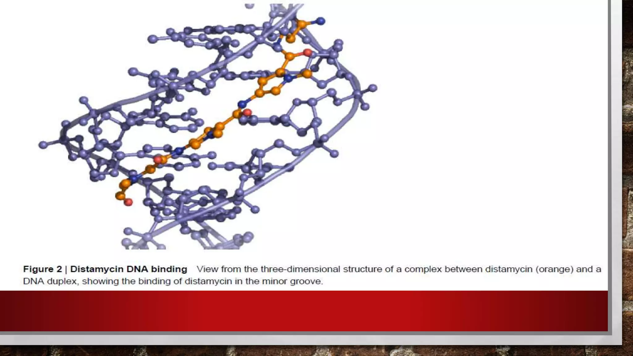 Drug nucleic acid interaction | PPTX