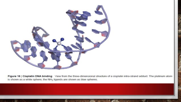 Drug nucleic acid interaction | PPTX | Chemistry | Science