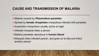 DRUG OF MALARIA PPT.pptx