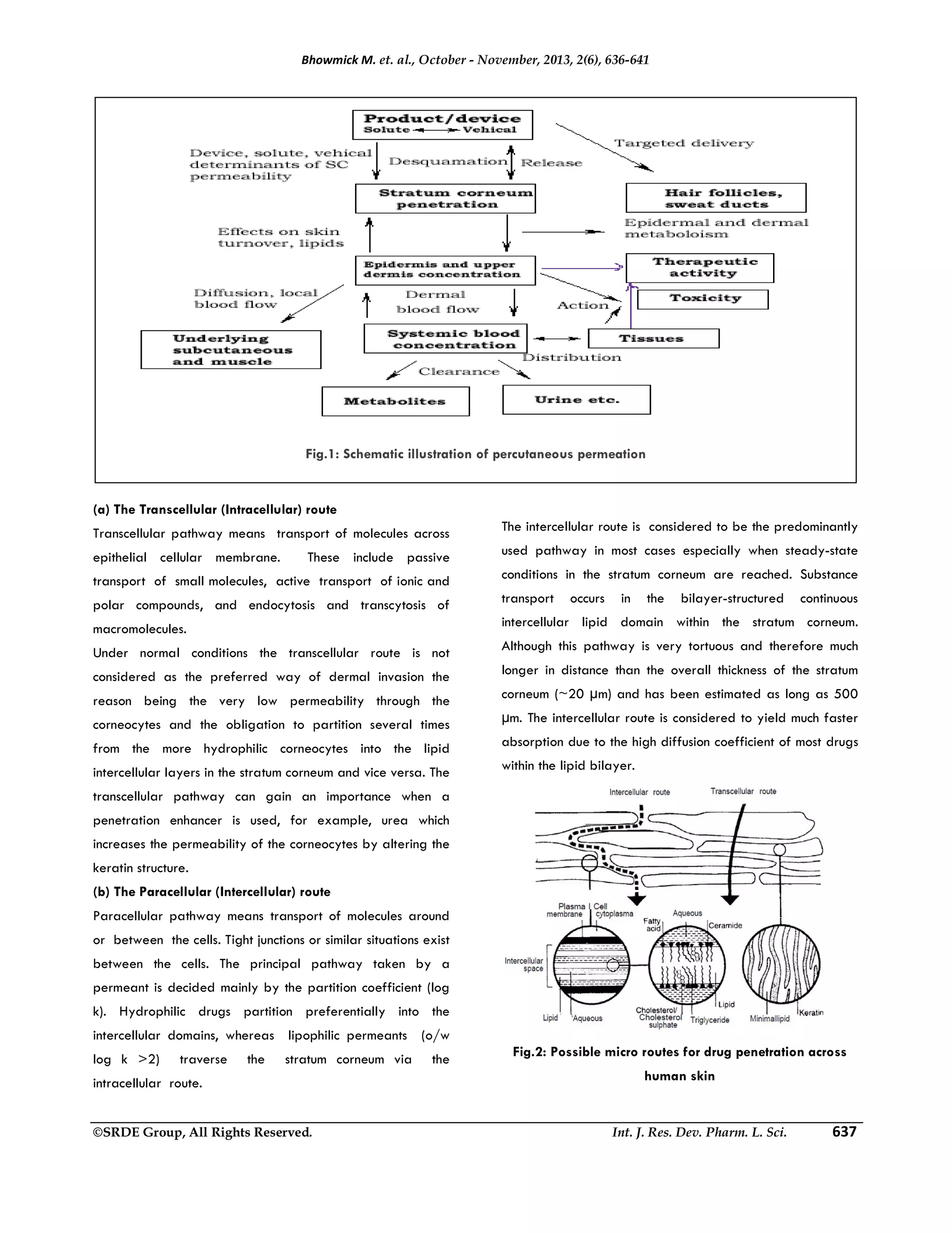 Drug permeation | PDF