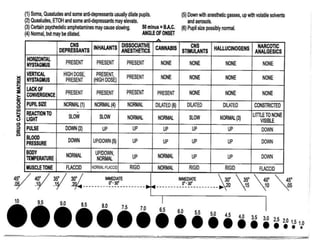 Pupil Size Chart Drugs