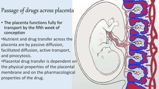 Drug Prescribing in Pregnancy.pptx