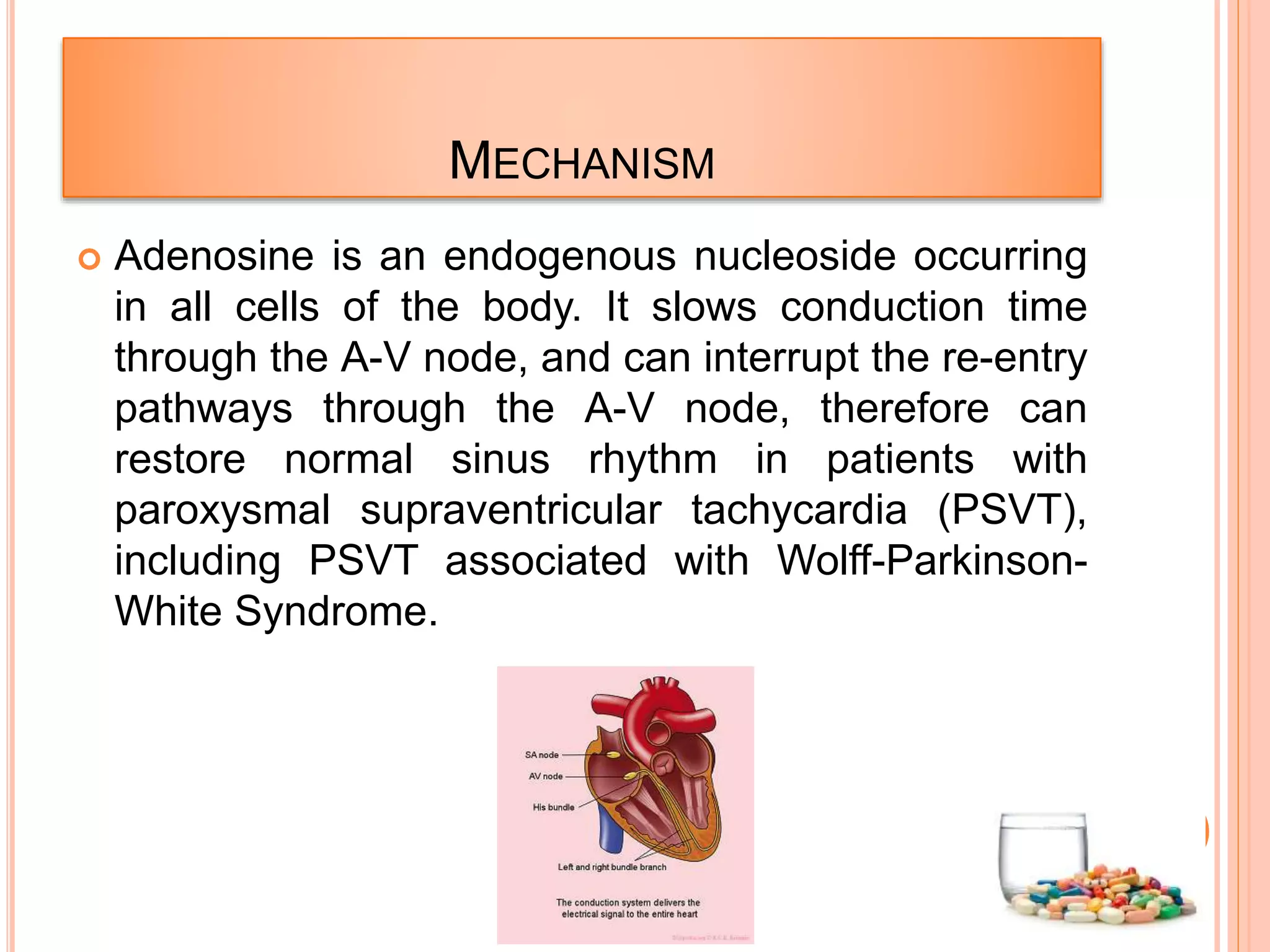 Drug presentation : Adenosine in pediatrics. | PPTX | Heart and ...