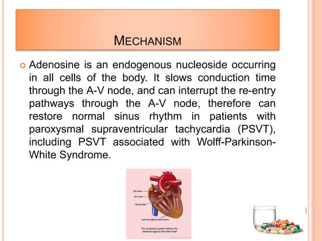 Drug presentation : Adenosine in pediatrics. | PPTX | Heart and ...