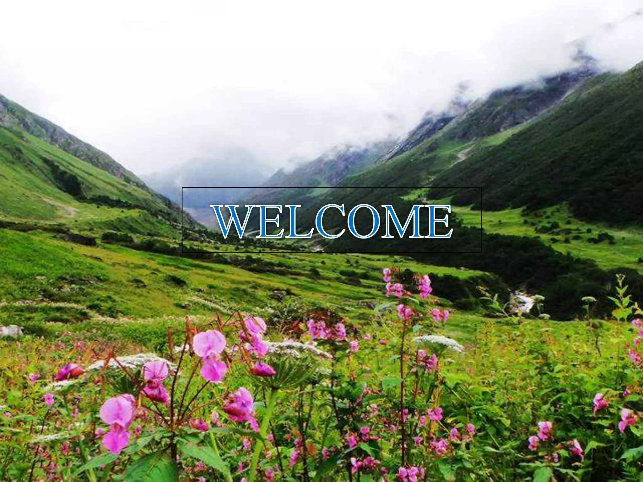 Drug presentation Asthishrinakla, Babbula., Chirabilwa | PPTX ...