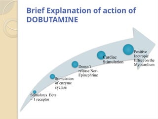Drug Presentation On -- Dobutamine.pptx