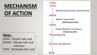 Drug profile of methotrexate :Introduction, History, ROA, Dose, MOA ...