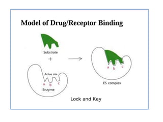 Drug receptors | PPTX