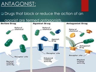 Drug receptor interaction | PPTX