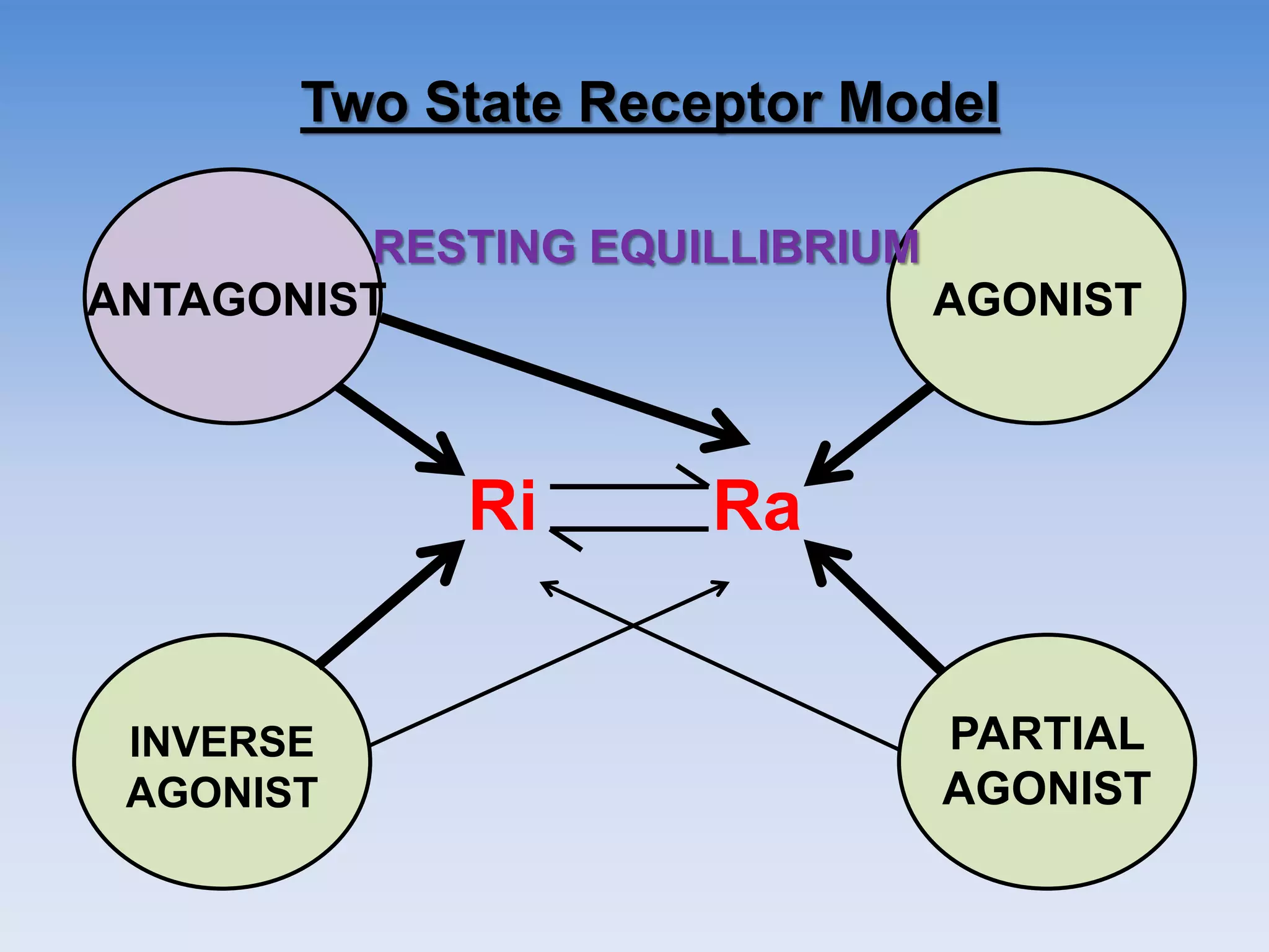 Drug Receptor Interactions | PPTX