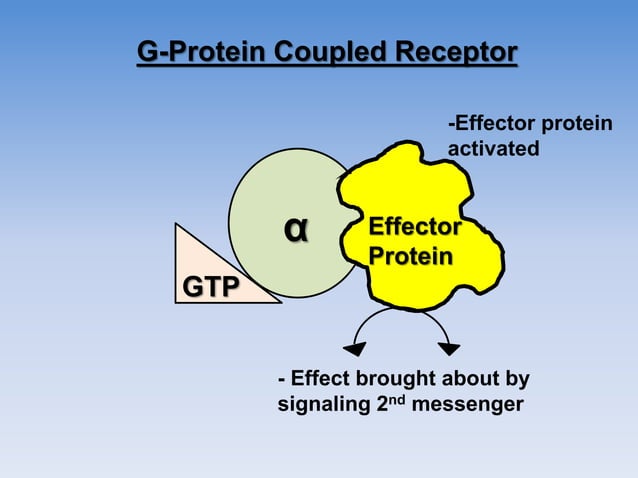 Drug Receptor Interactions | PPTX