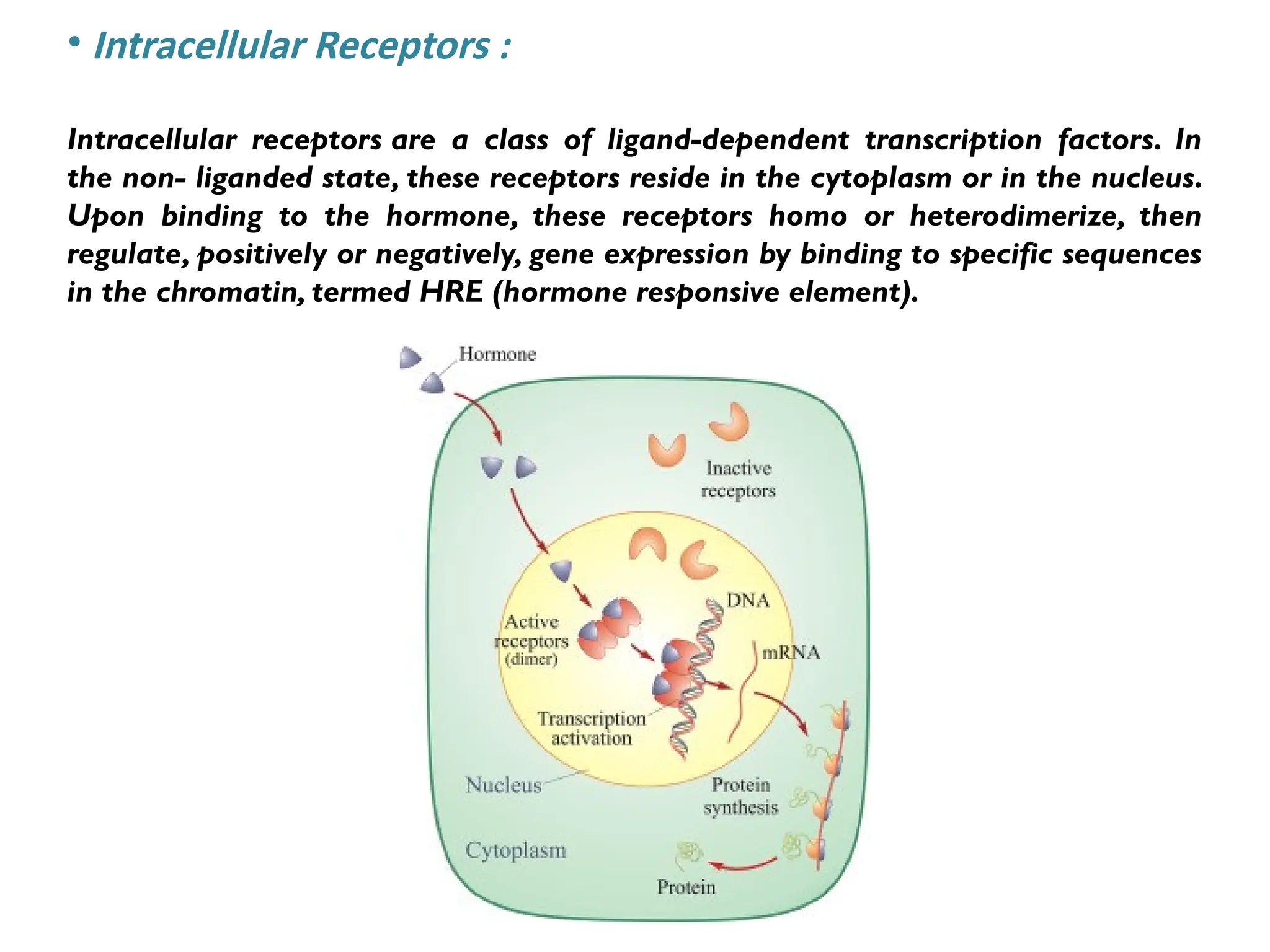 Drug Receptors and it's classification.pptx