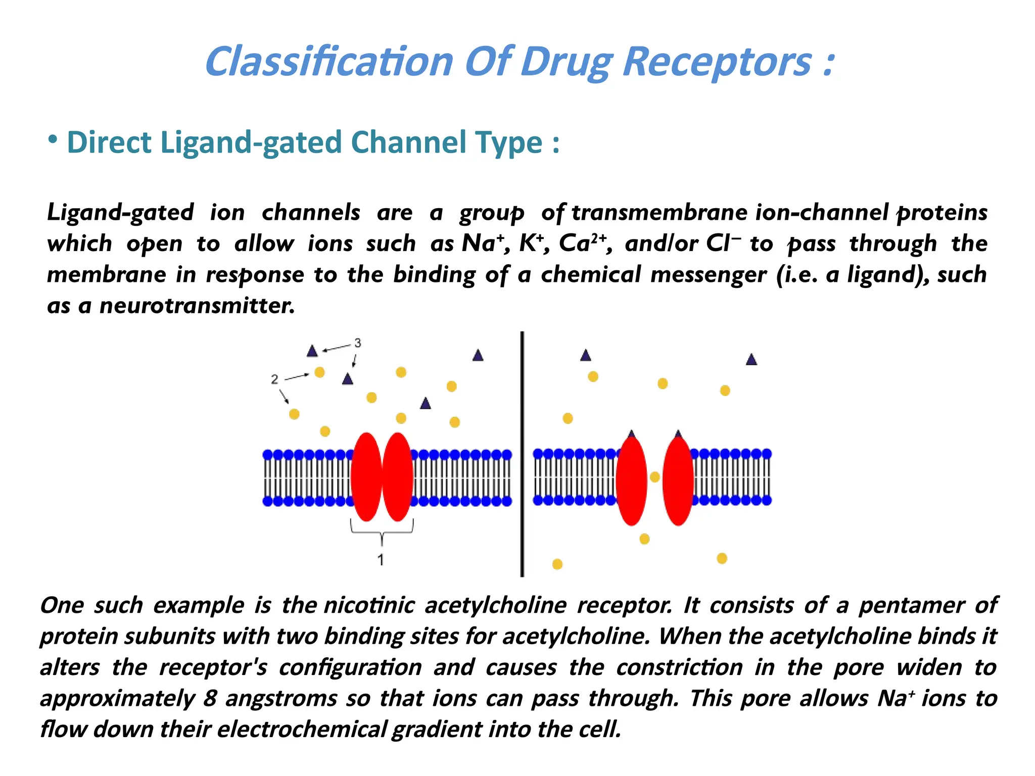 Drug Receptors and it's classification.pptx