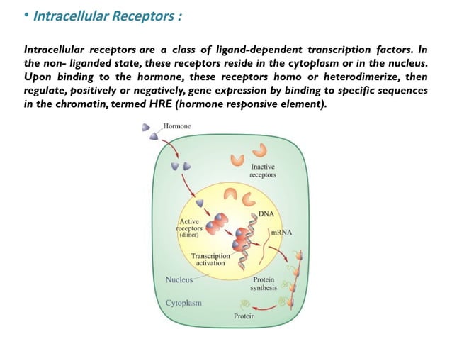 Drug Receptors and it's classification.pptx