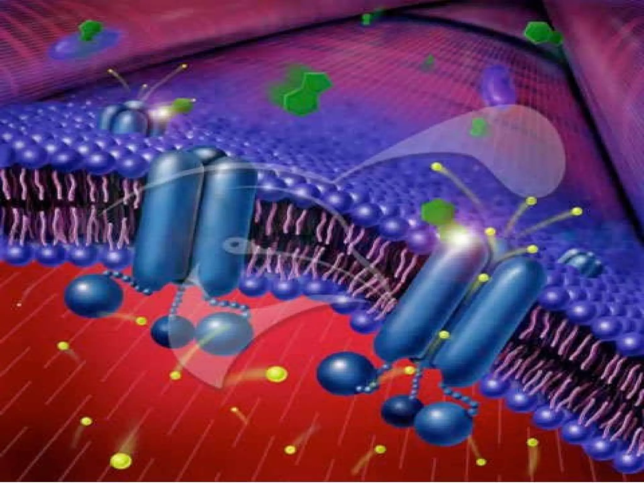 Drug receptors in pharmacology | PPT