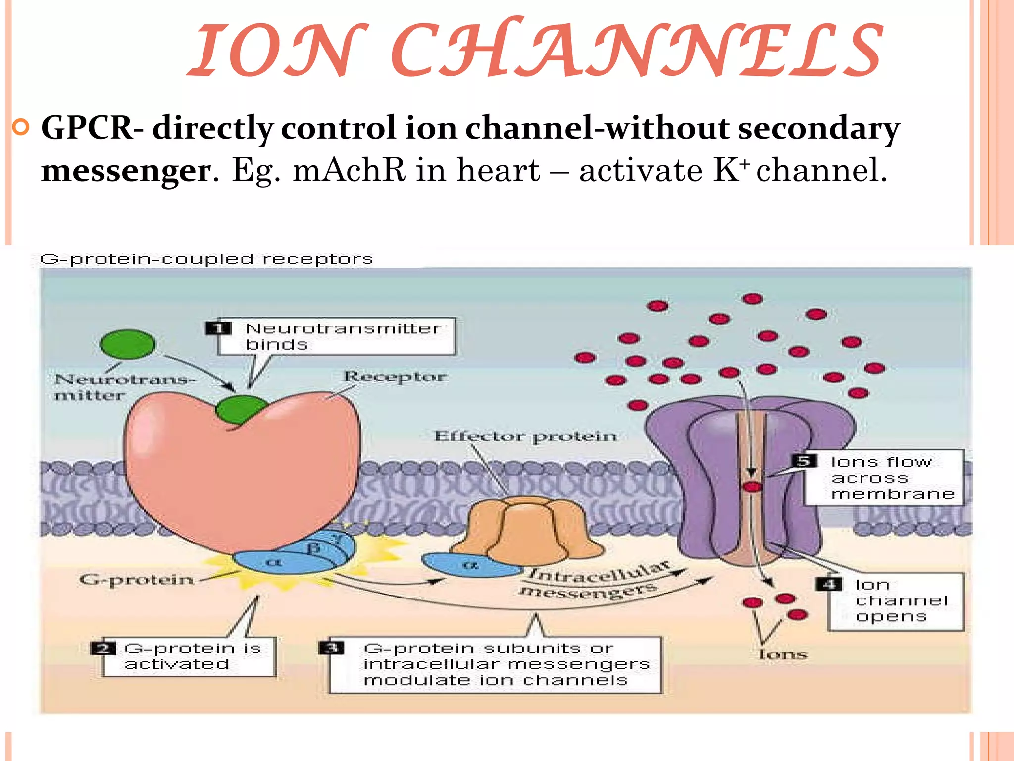Drug receptors in pharmacology | PPT
