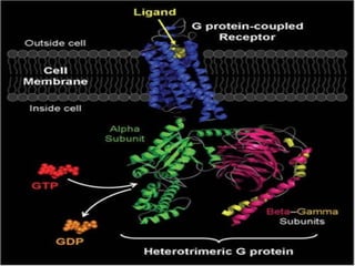 Drug receptors in pharmacology | PPT