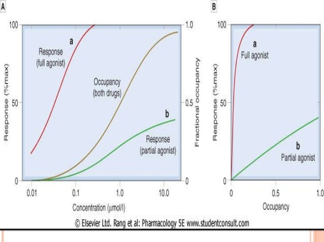 Drug receptors in pharmacology | PPT | Endocrine and Metabolic Diseases ...