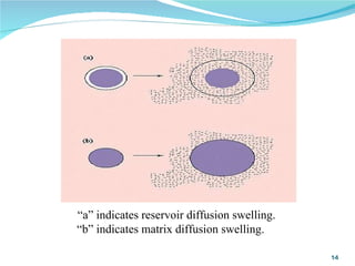 Drug Release Mechanism And Kinetics | PPT