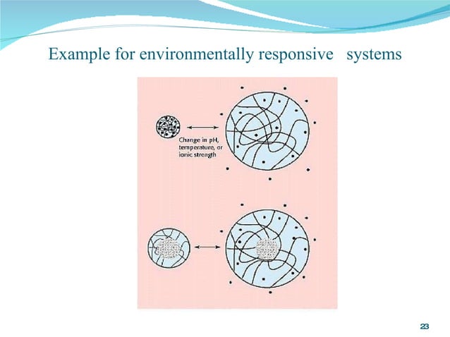 Drug Release Mechanism And Kinetics | PPT