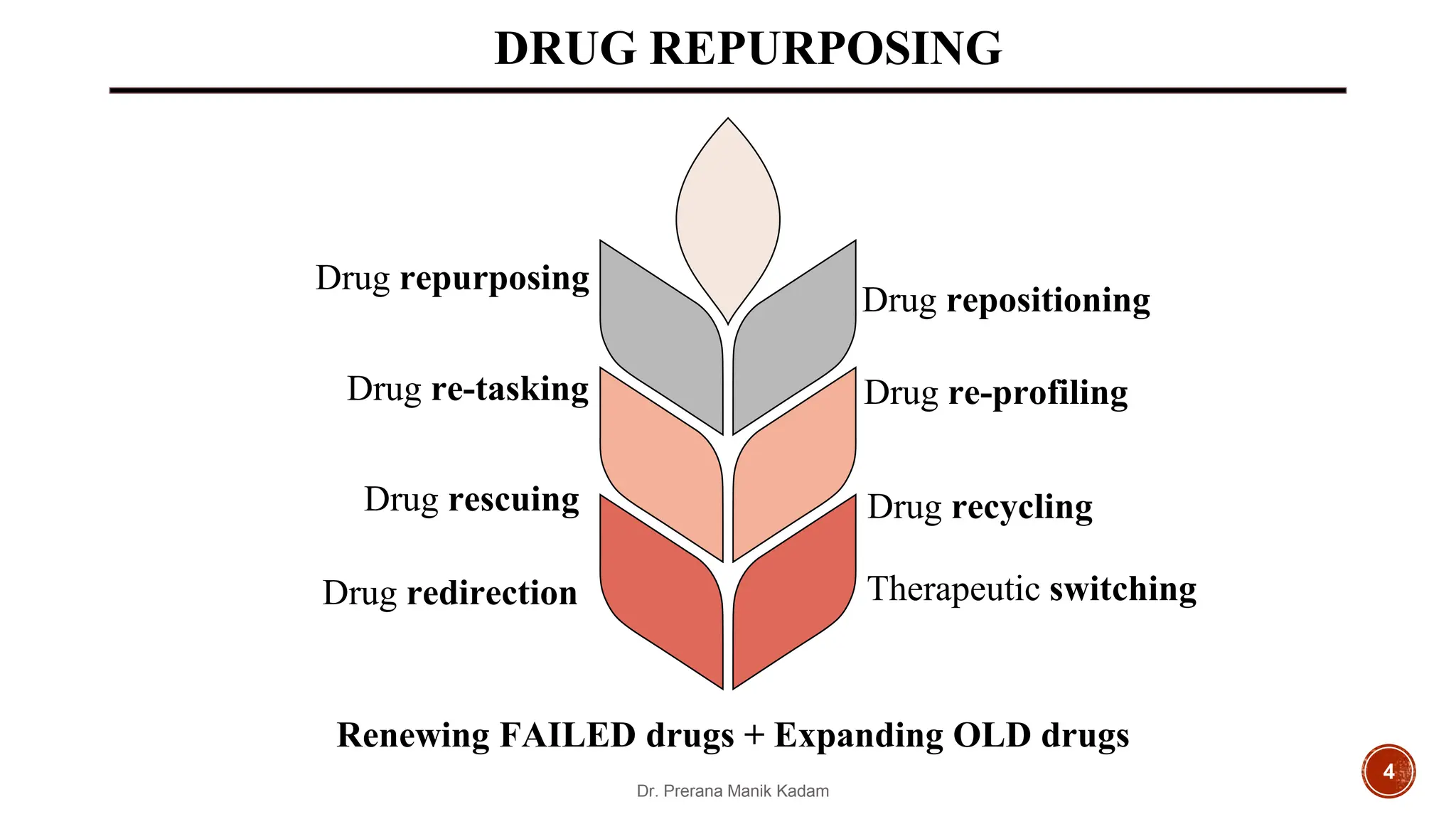 Drug Repurposing in Healthcare Dr. Prerana.pptx