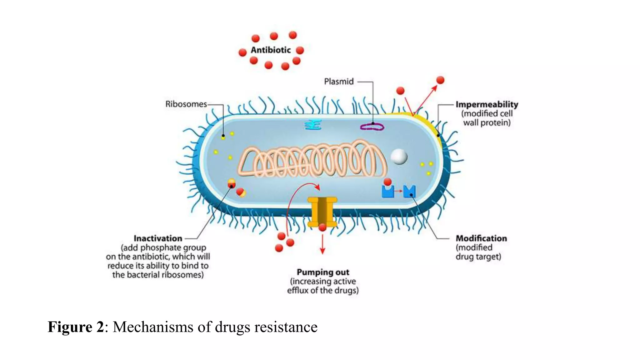 Drug resistance | PPTX