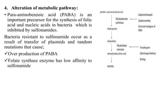 Drug resistance | PPTX