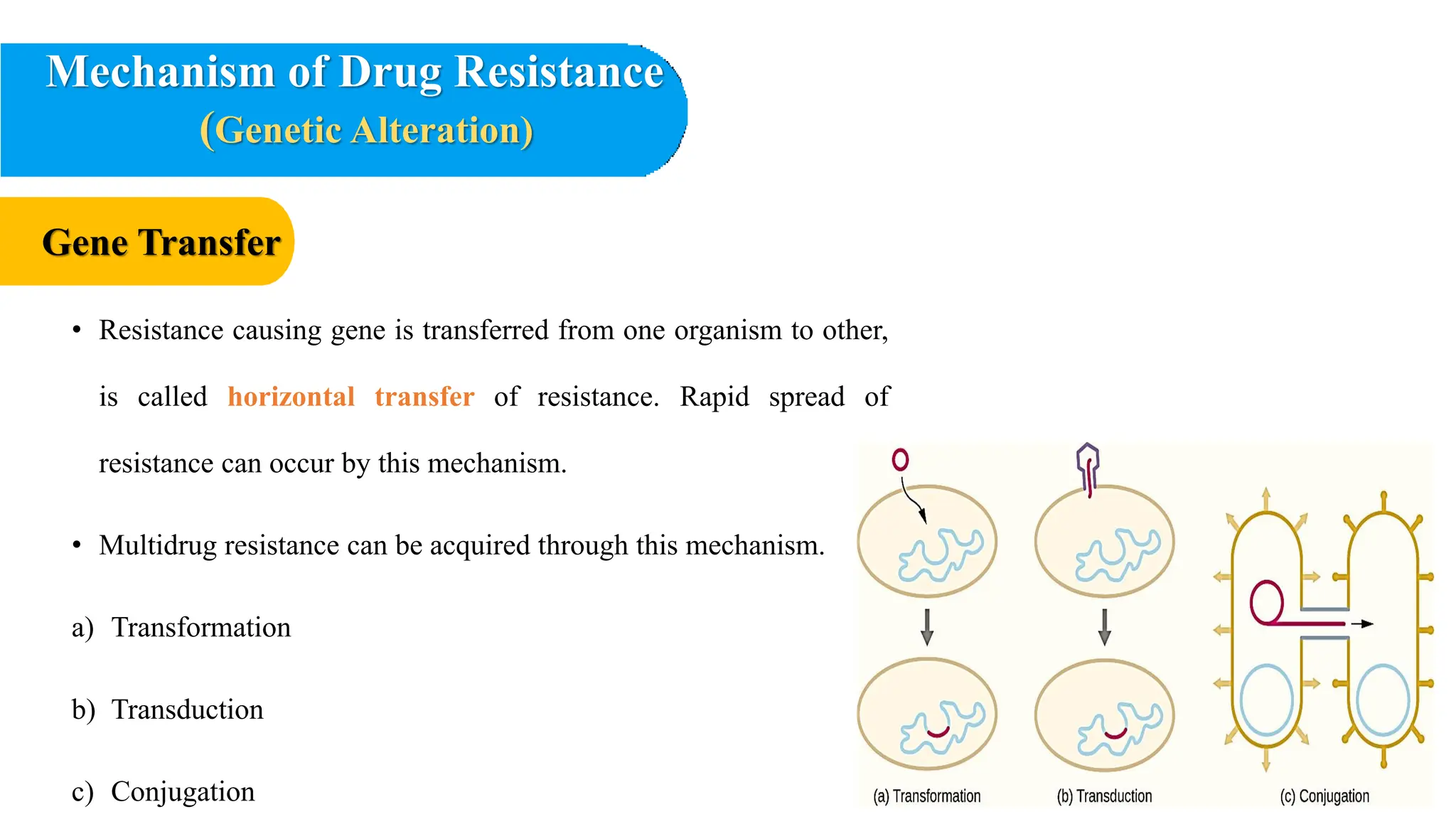Drug Resistance Mechanism of Microbial Organisms | PPT