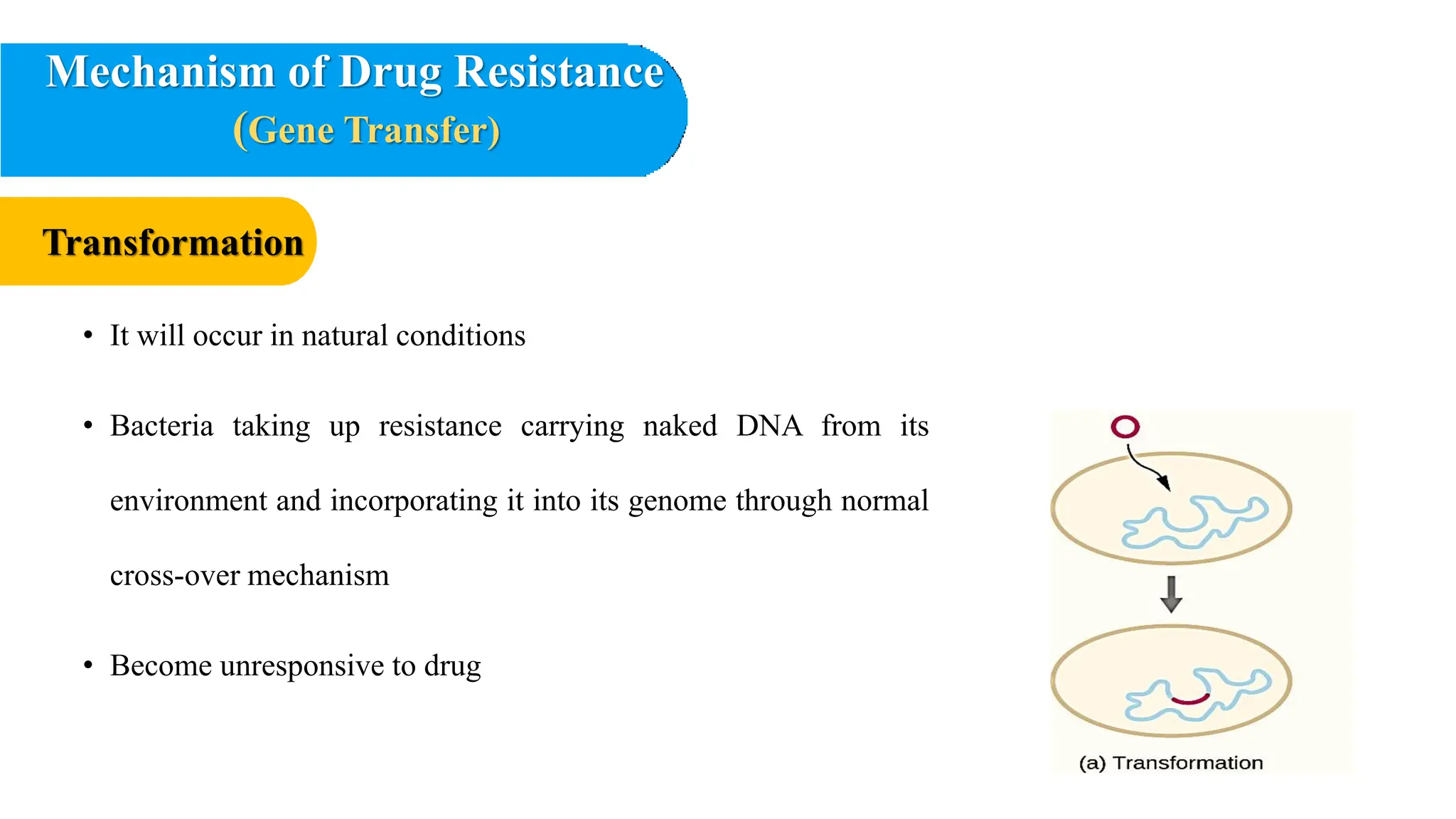 Drug Resistance Mechanism of Microbial Organisms | PPT