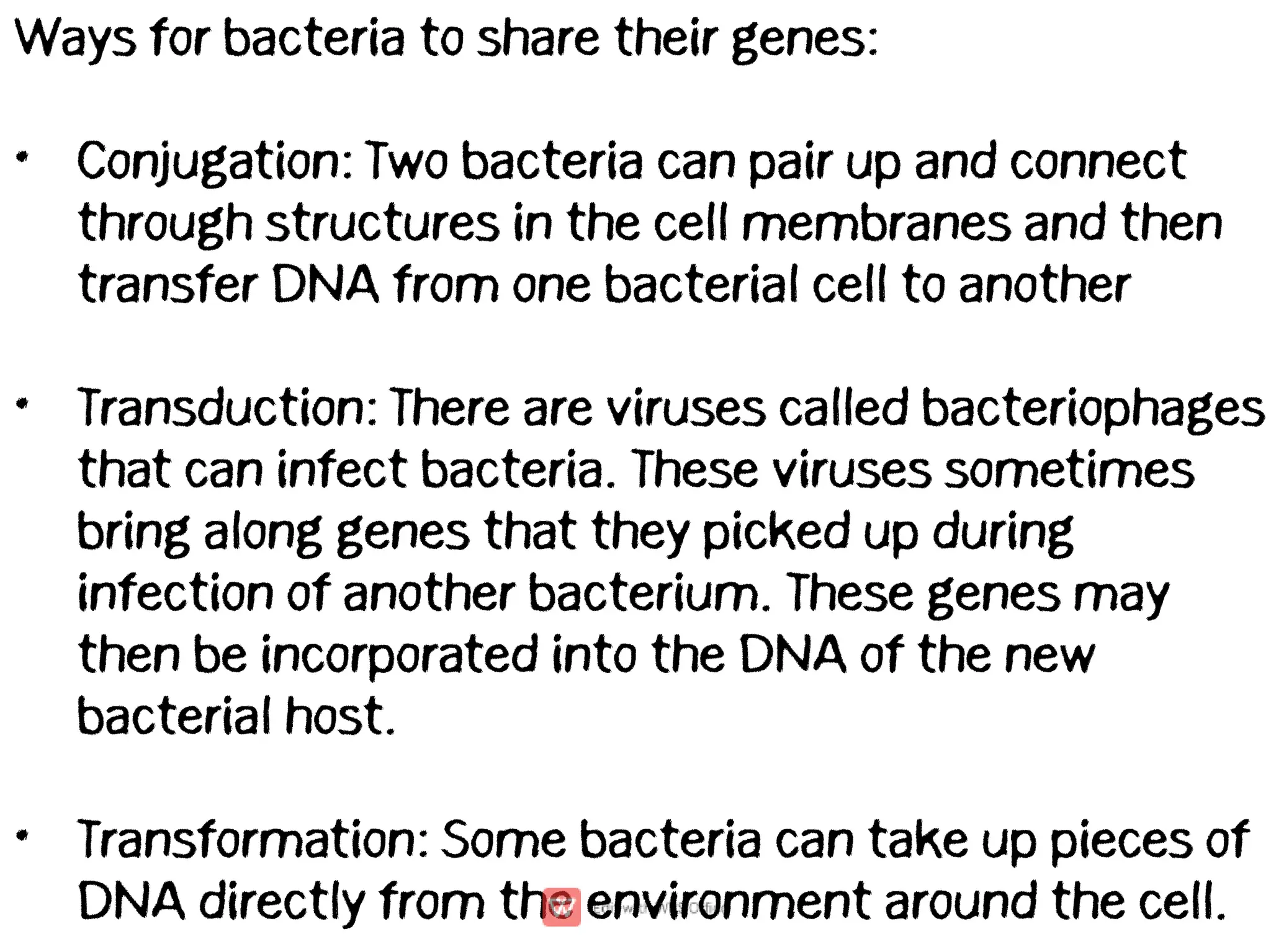 DRUG RESISTANCE-WPS Office(1).pdf TYPES OF DRUG RESISTANCE | PDF