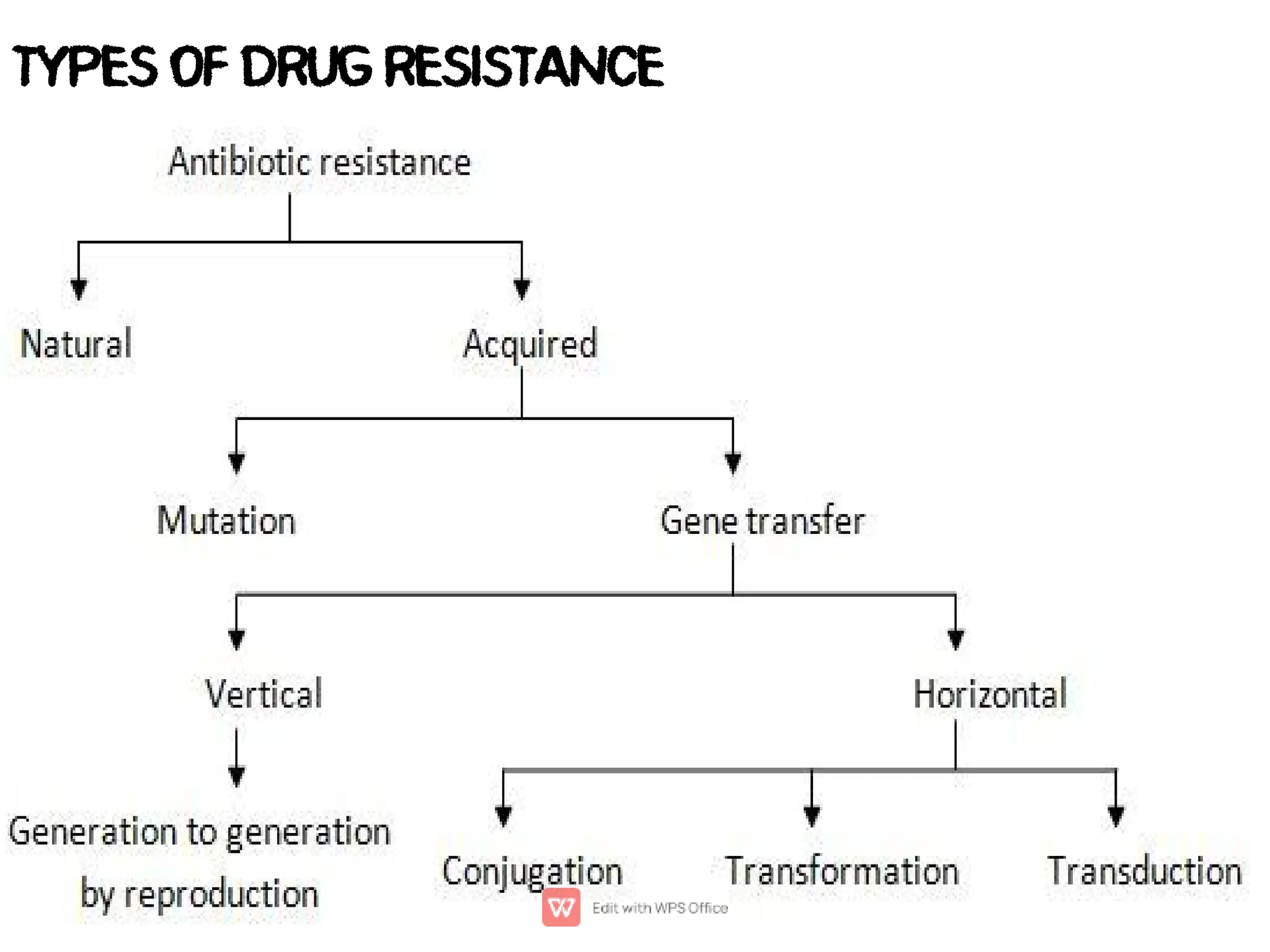 DRUG RESISTANCE-WPS Office(1).pdf TYPES OF DRUG RESISTANCE | PDF