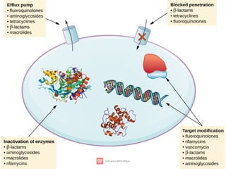 DRUG RESISTANCE-WPS Office(1).pdf TYPES OF DRUG RESISTANCE | PDF