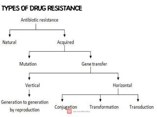 DRUG RESISTANCE-WPS Office(1).pdf TYPES OF DRUG RESISTANCE | PDF