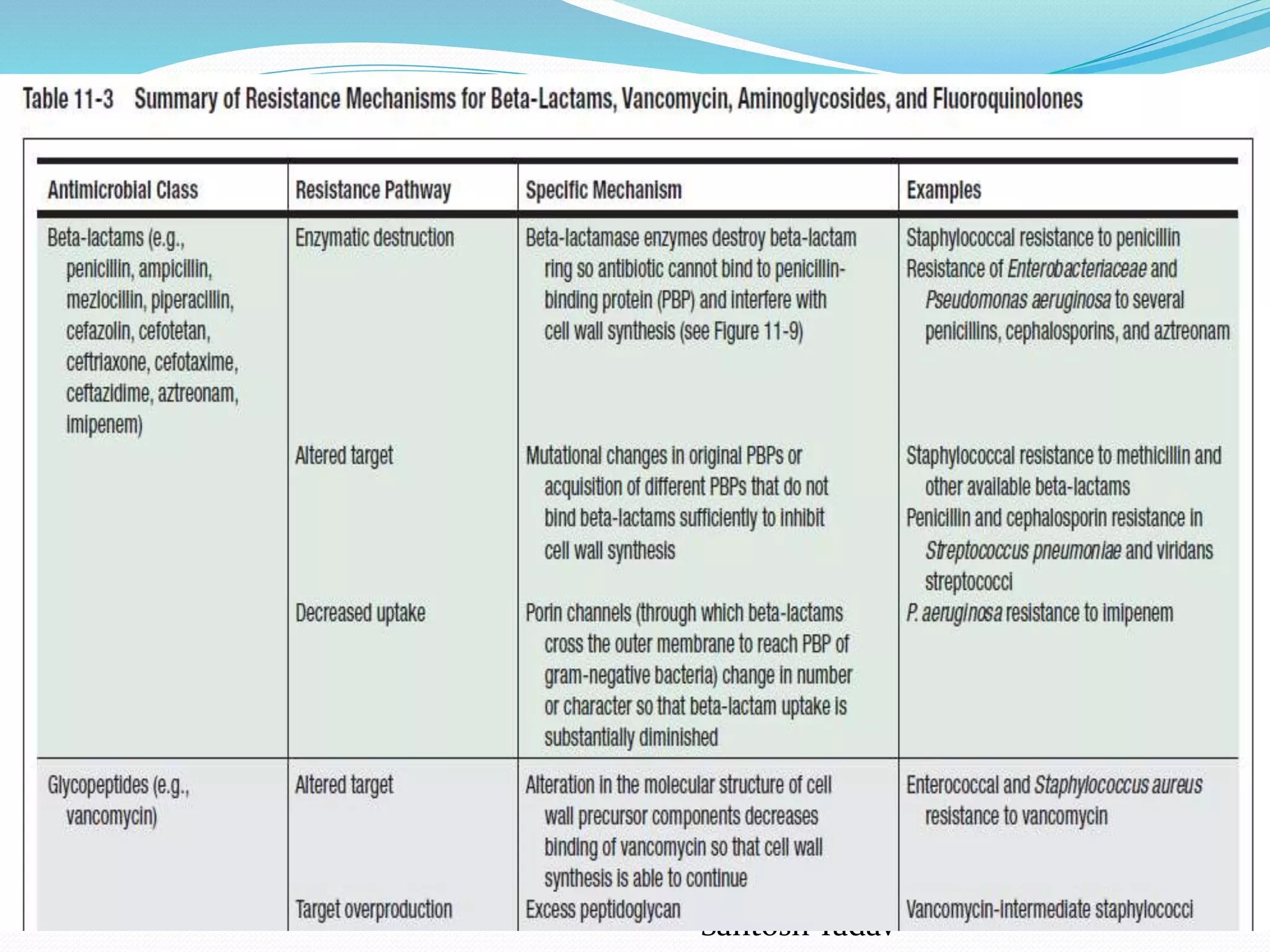 Drug Resistance Mechanism | PPTX