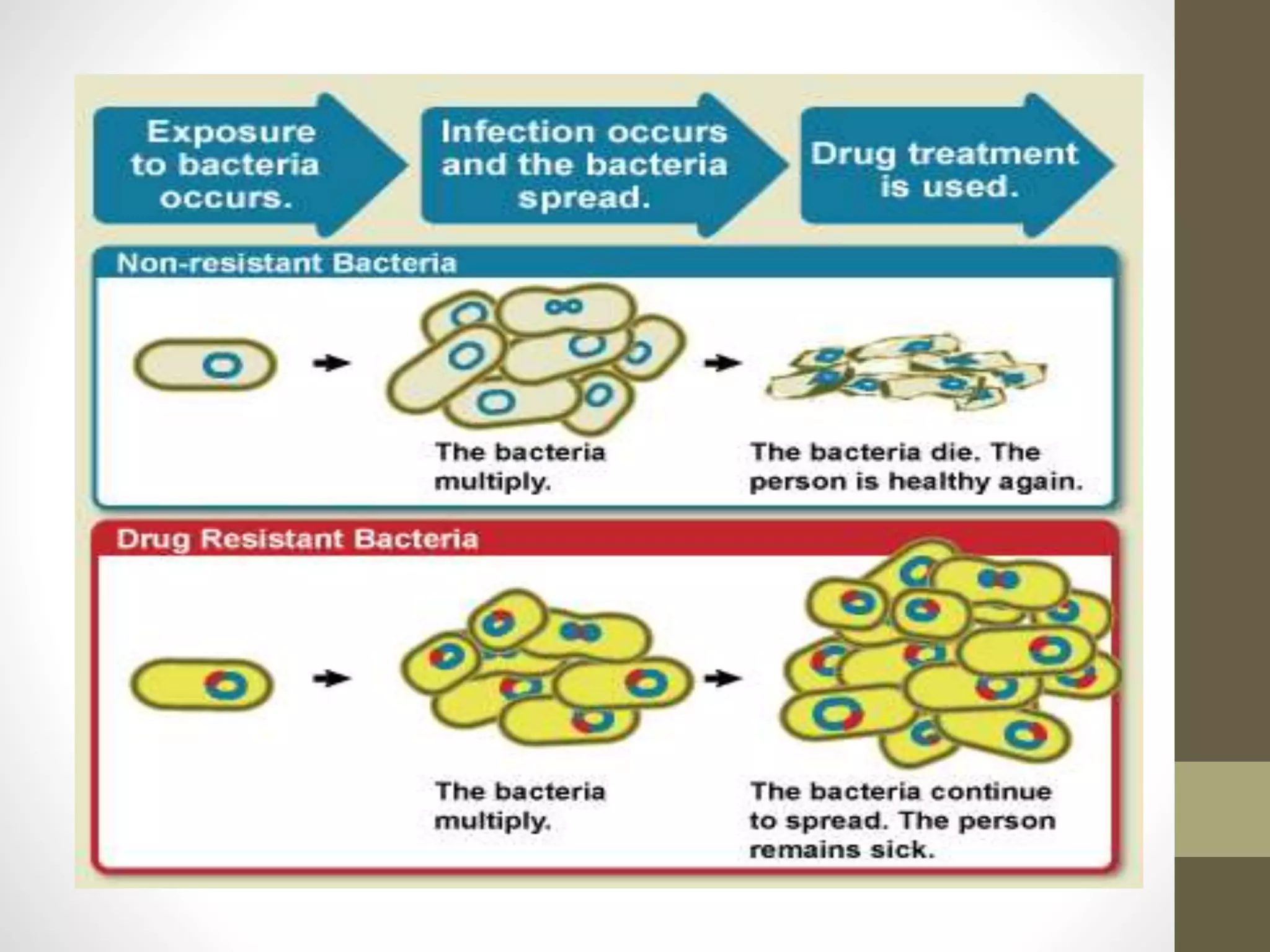 Multidrug resistance in Microbes | PPTX