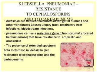 Multidrug resistance in Microbes | PPTX