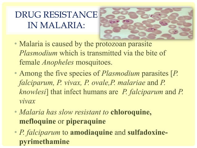 Multidrug resistance in Microbes | PPTX | Infectious Diseases ...
