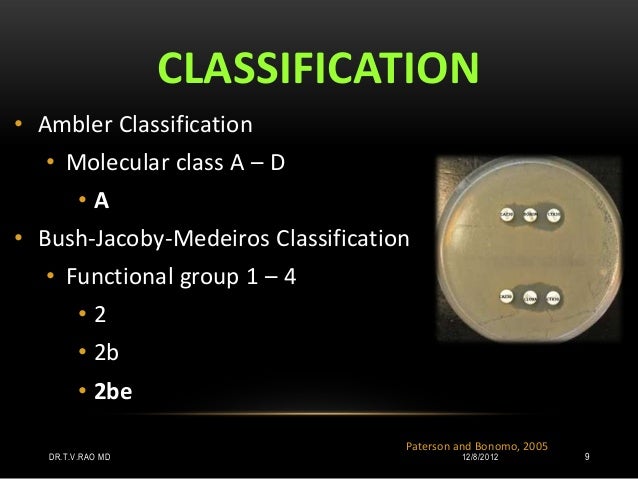 Drug resistant gram - ve bacteria