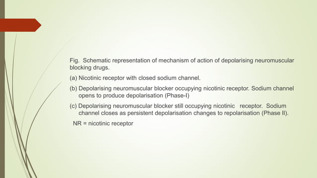 Drugs-acting-on-somatic-nervous-system.pptx | Brain and Nervous System ...