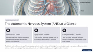 Drugs-Acting-on-the-Autonomic-Nervous-System-System-Pharmacology ...